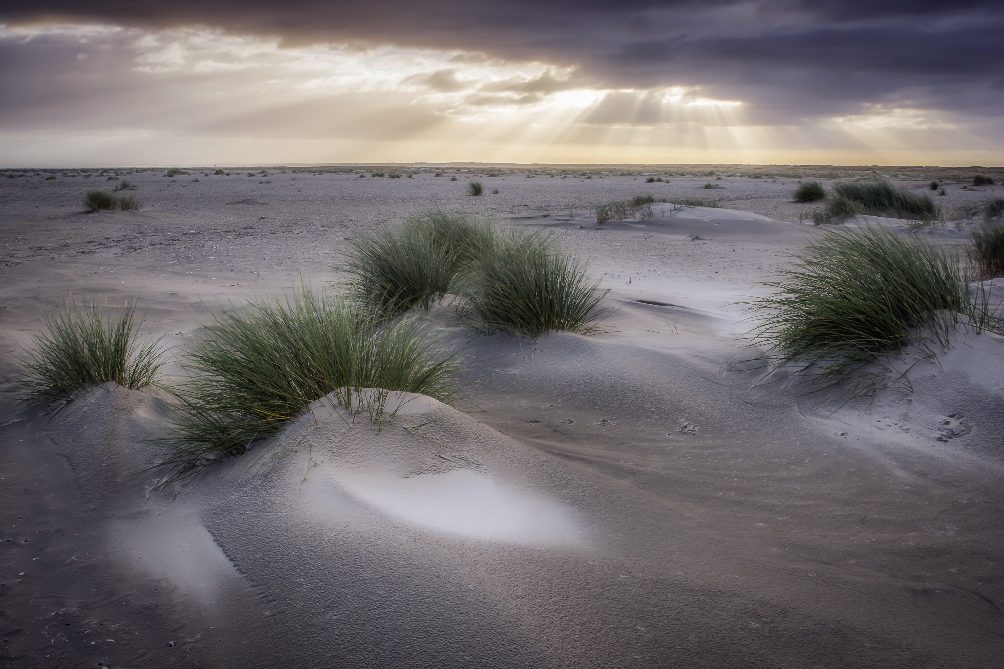 Download Sand Horizon Nature Desert HD Wallpaper