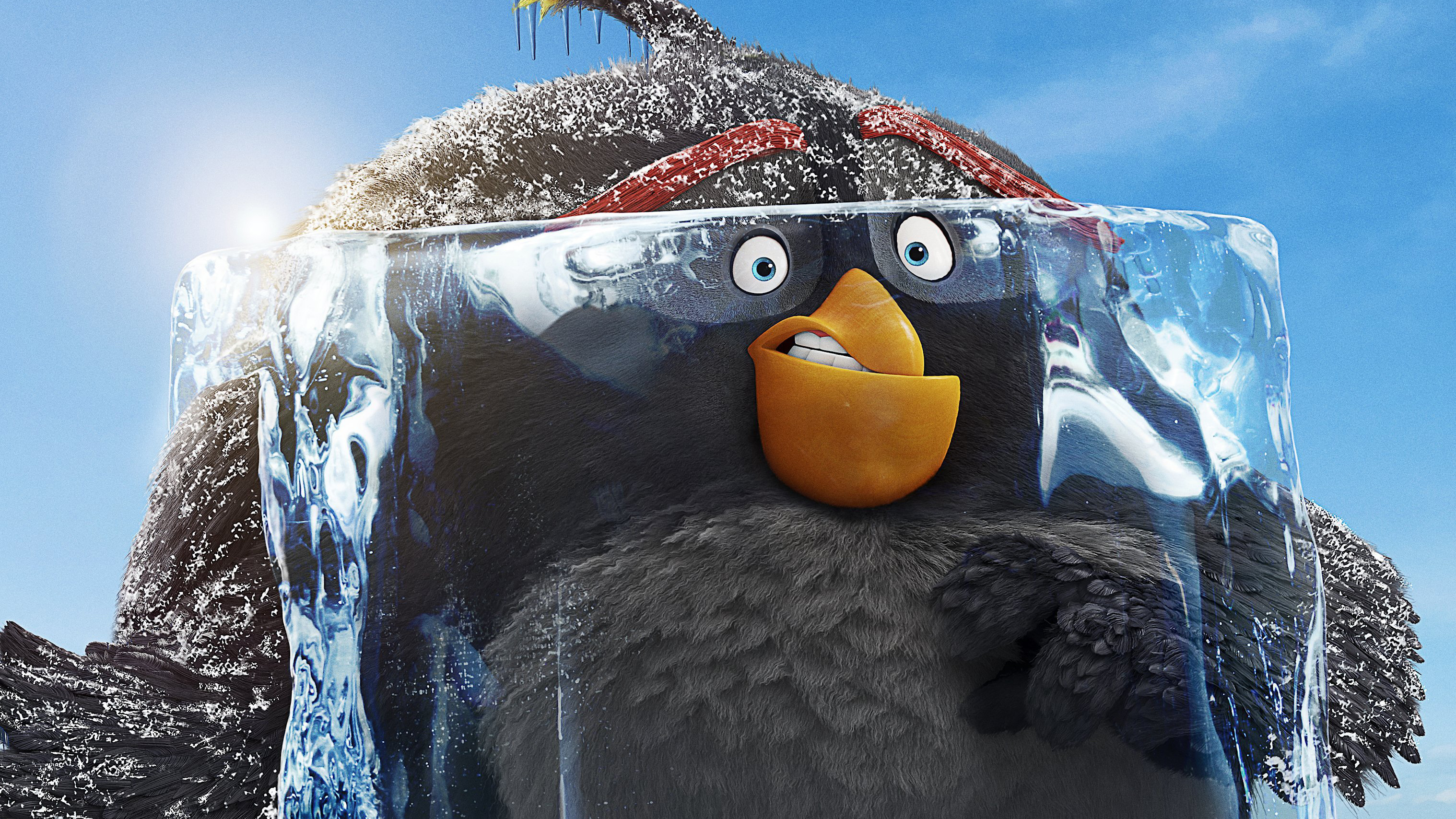 Download Movie The Angry Birds Movie 2 HD Wallpaper