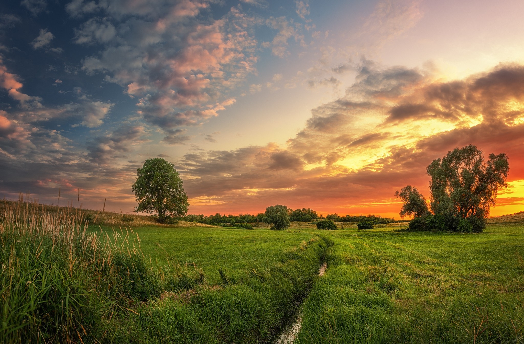 Download Sunset Field Tree Nature Sunrise HD Wallpaper