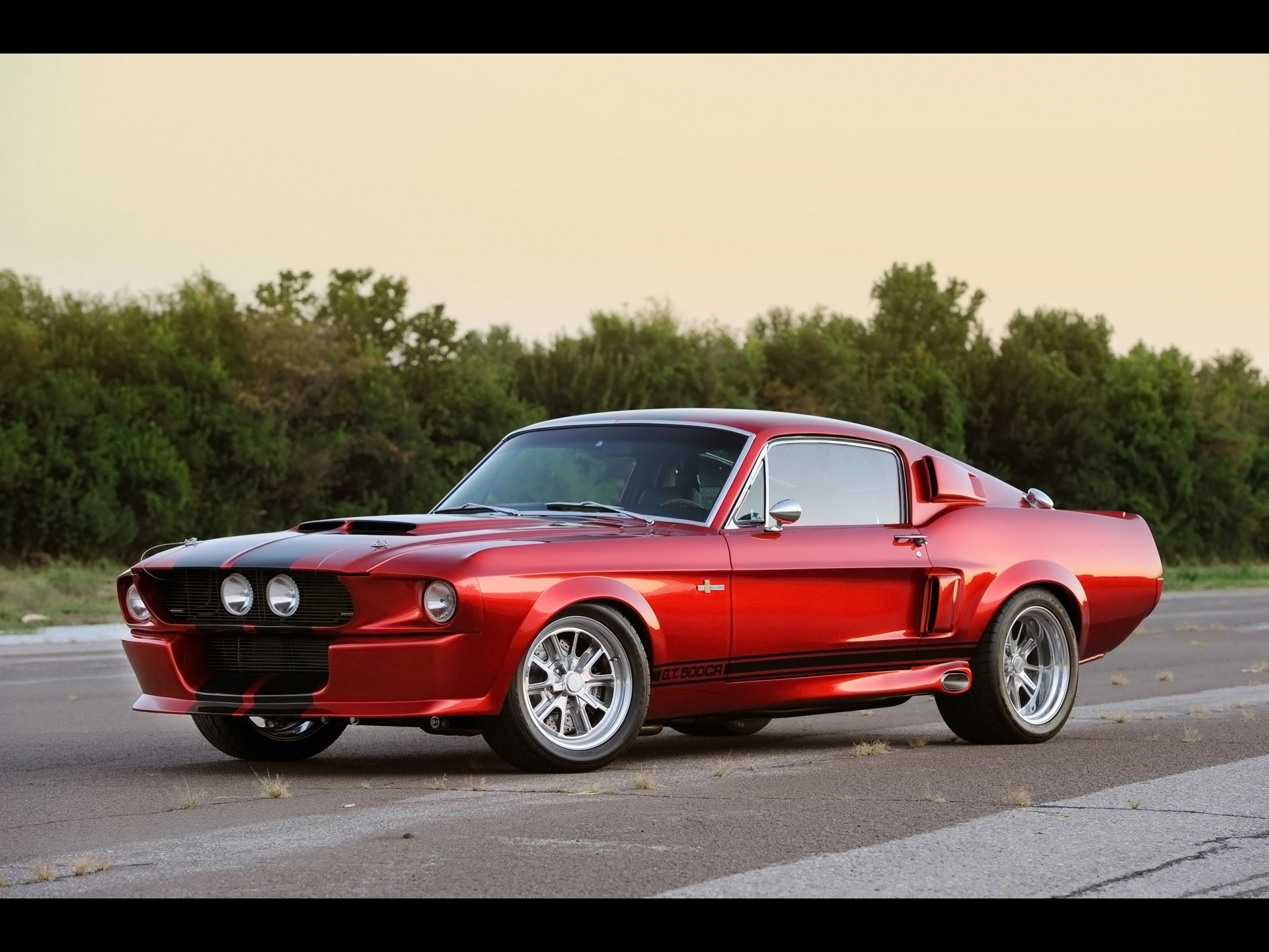 Ford Mustang GT & Shelby GT500 - Stunning HD Muscle Car Wallpaper