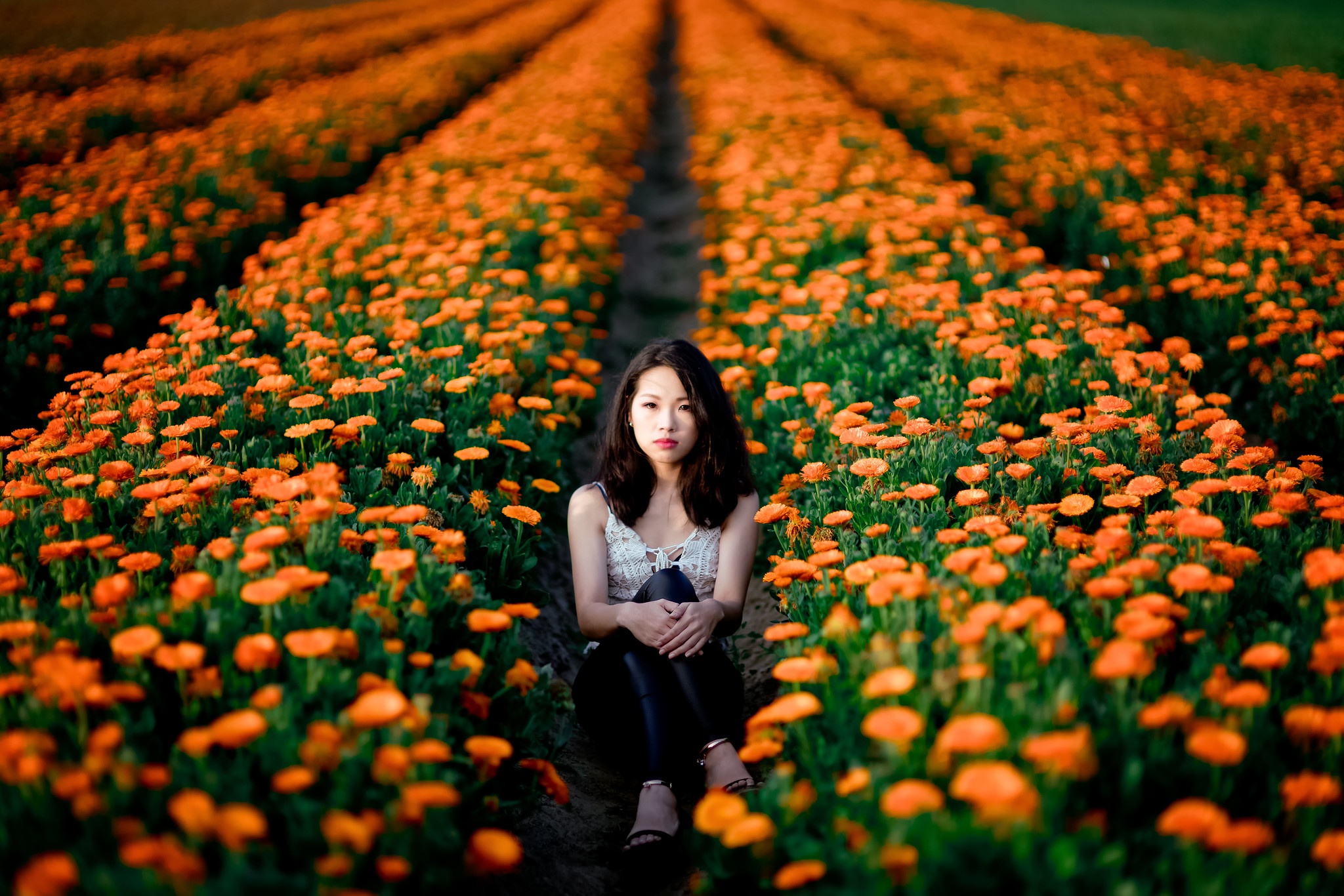 Radiant Asian Woman Amid Vibrant Orange Flower Fields – HD Wallpaper