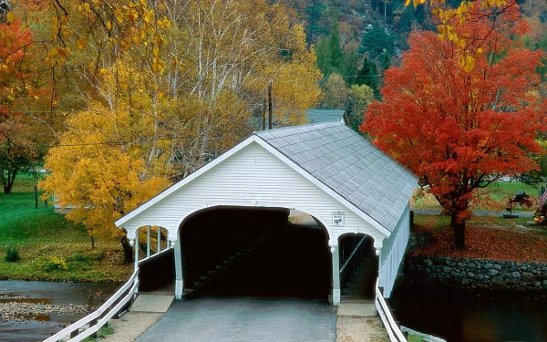 HD Wallpaper of a Charming Covered Bridge in Nature