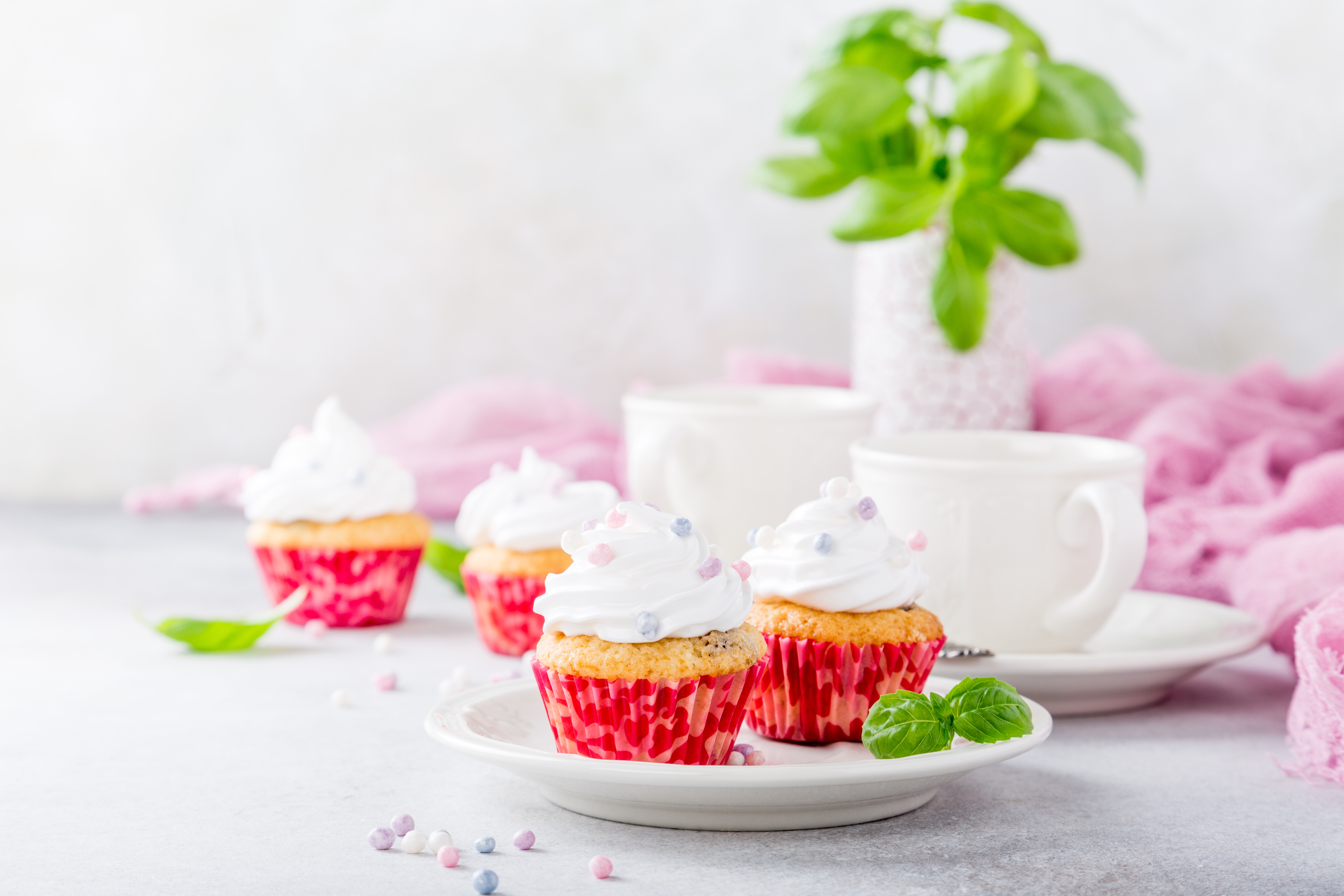 Download Still Life Sweets Dessert Cream Food Cupcake 4k Ultra HD Wallpaper