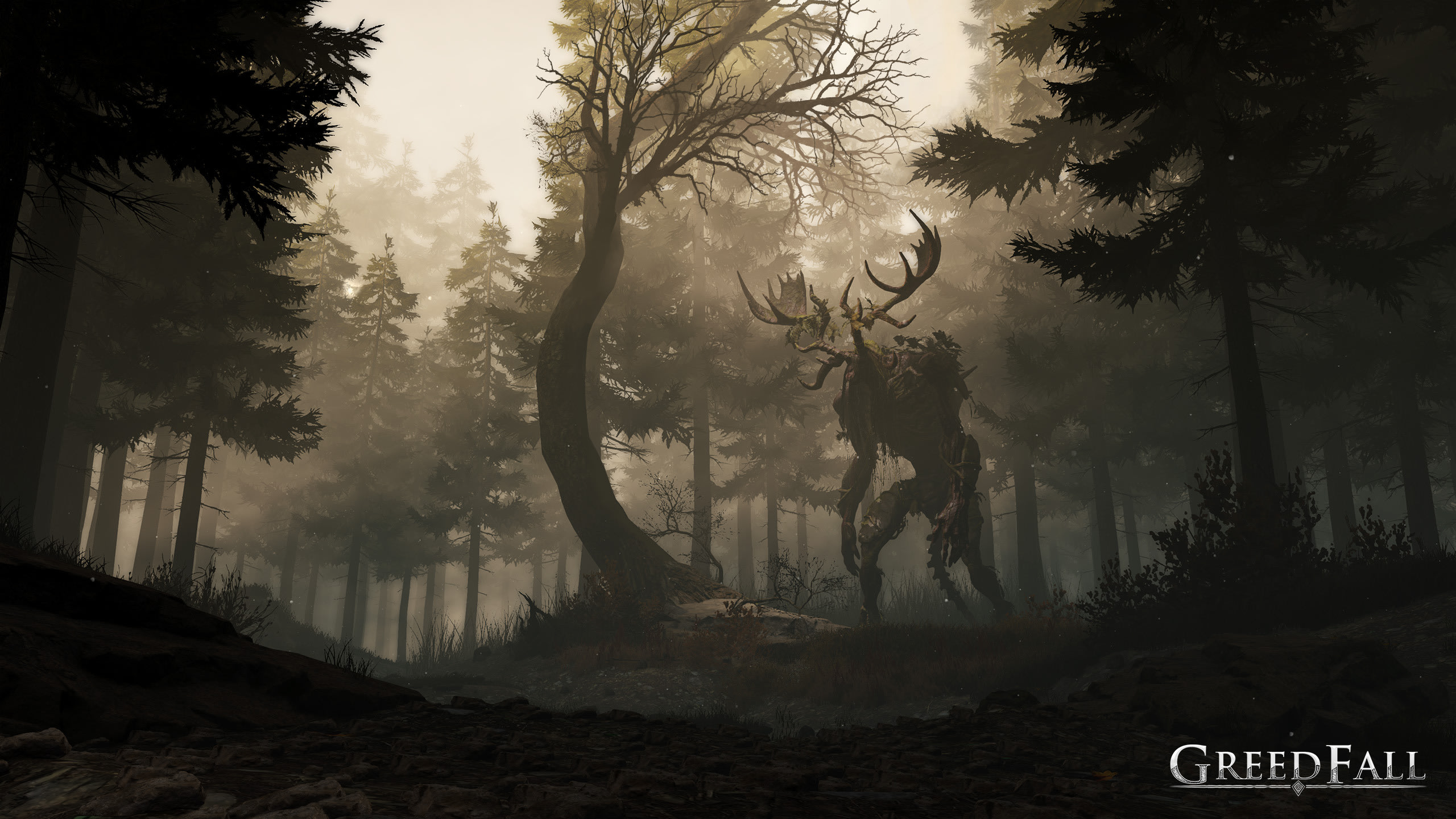 Download Video Game GreedFall 4k Ultra HD Wallpaper by Kayzzan