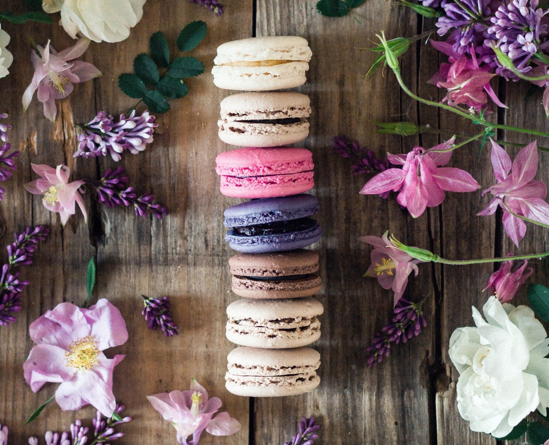Download Sweets Flower Food Macaron HD Wallpaper by Diana Akhmetianova