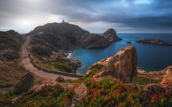 [10+] Cove Wallpapers