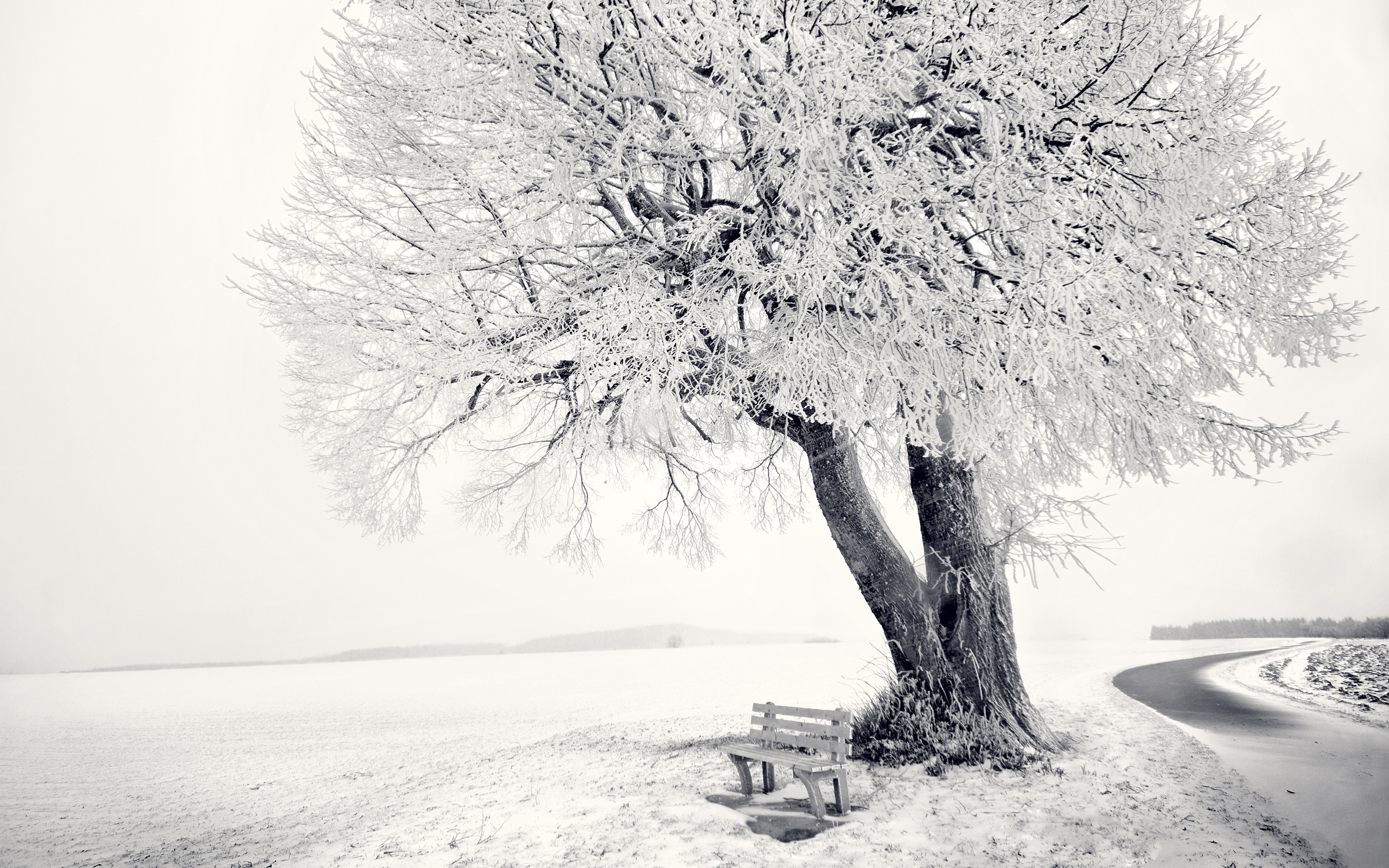 Winter Serenity: Snow-Covered Tree and Bench in a Quiet Landscape by FreaX