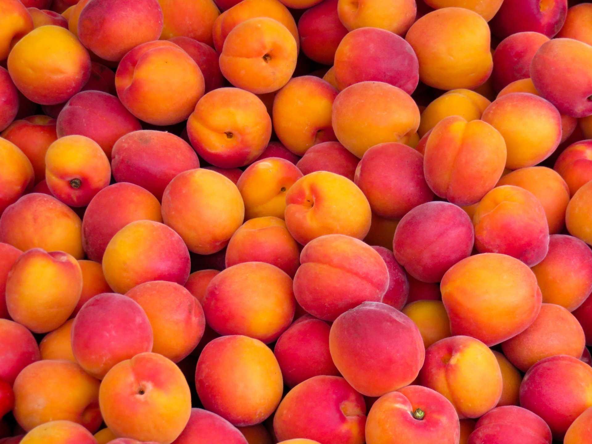 Download Fruit Food Apricot 4k Ultra HD Wallpaper