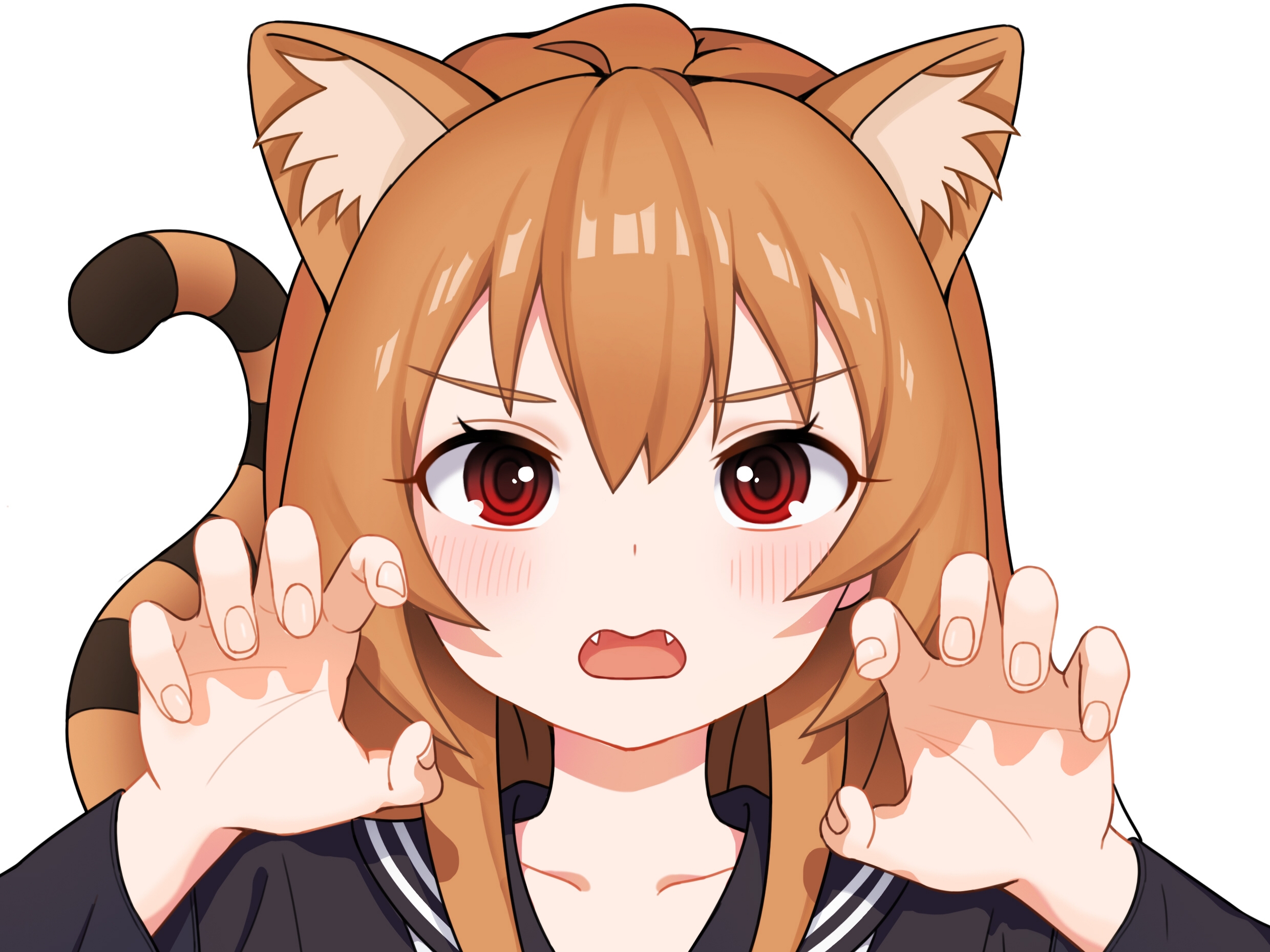 Kawaii Tiger Toradora