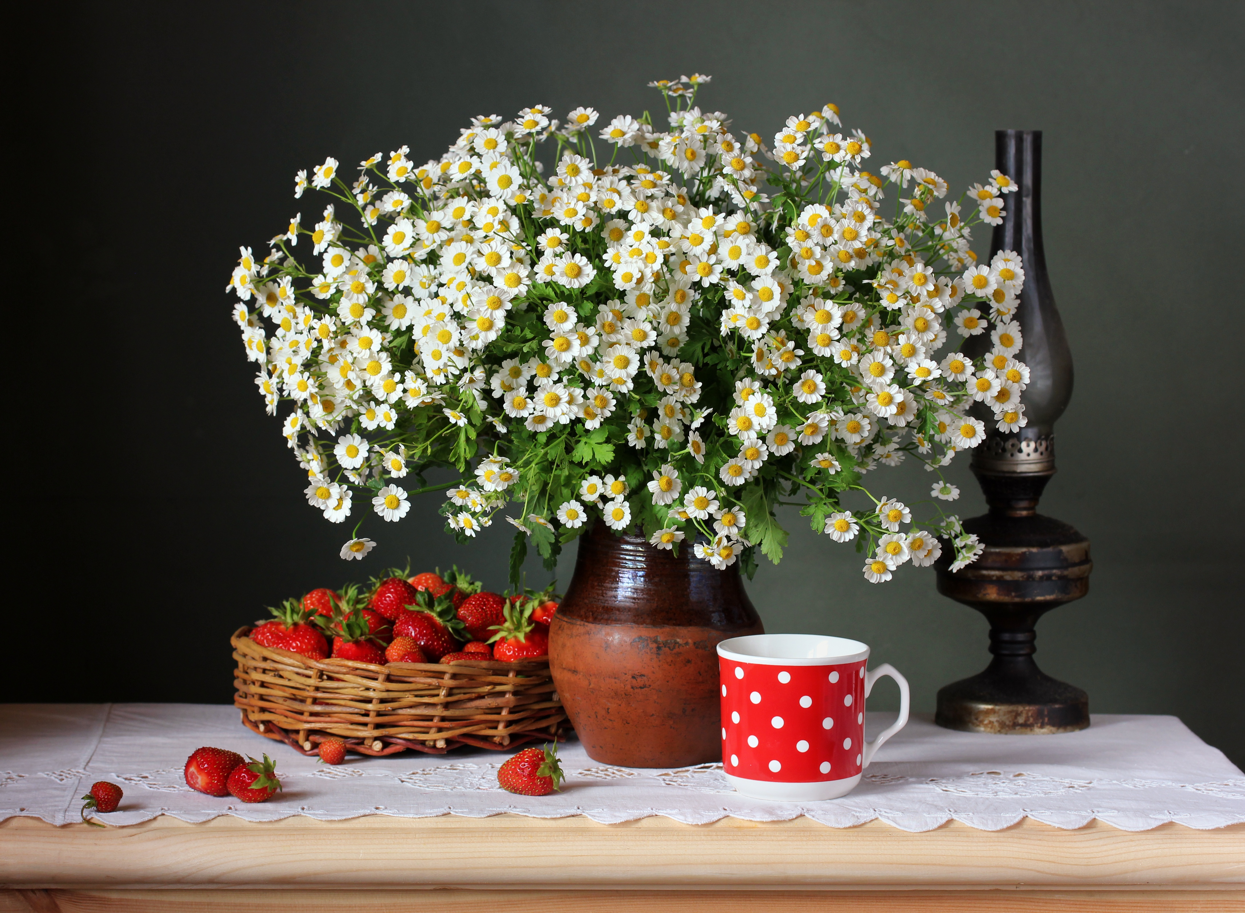 Download Fruit Strawberry Chamomile Berry Flower Photography Still Life ...