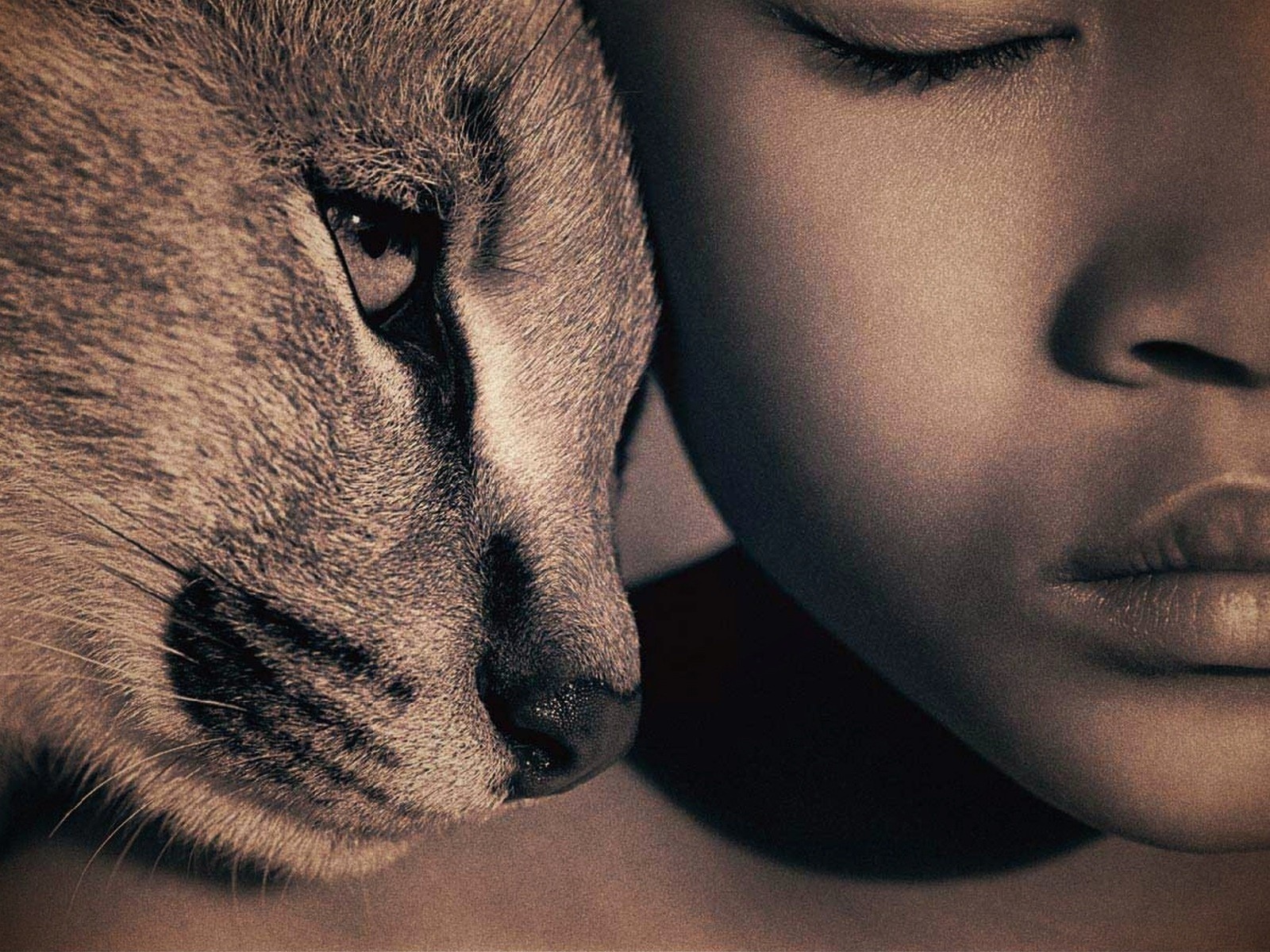 Download Animal Cat Wallpaper by Gregory Colbert