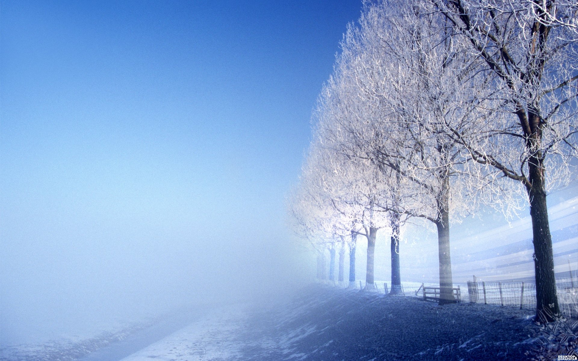 Winter's Whisper: A Tranquil HD Nature Wallpaper