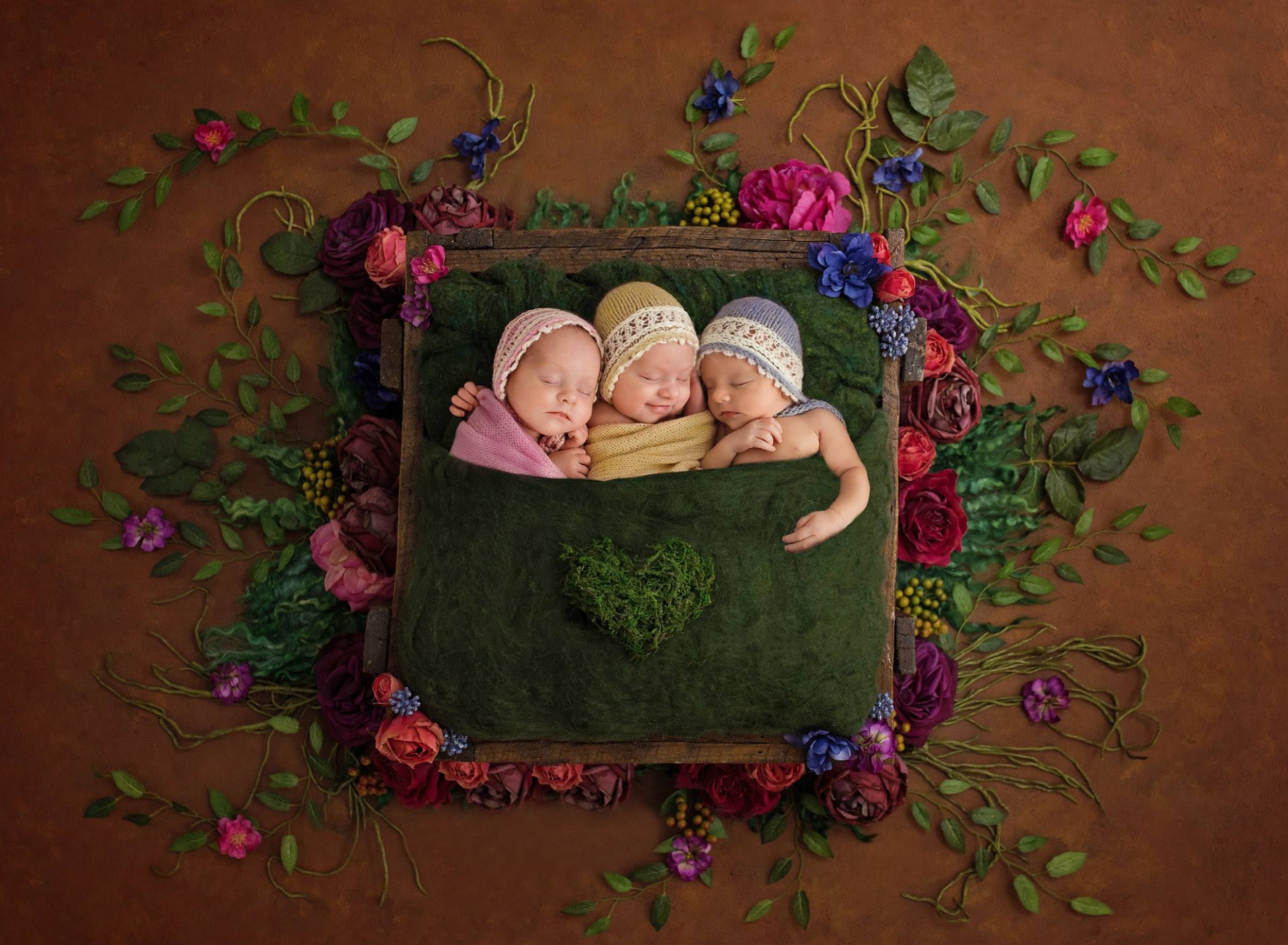 Flowers Desktop Wallpaper Babys Baby Wallpaper Vectors Download Free