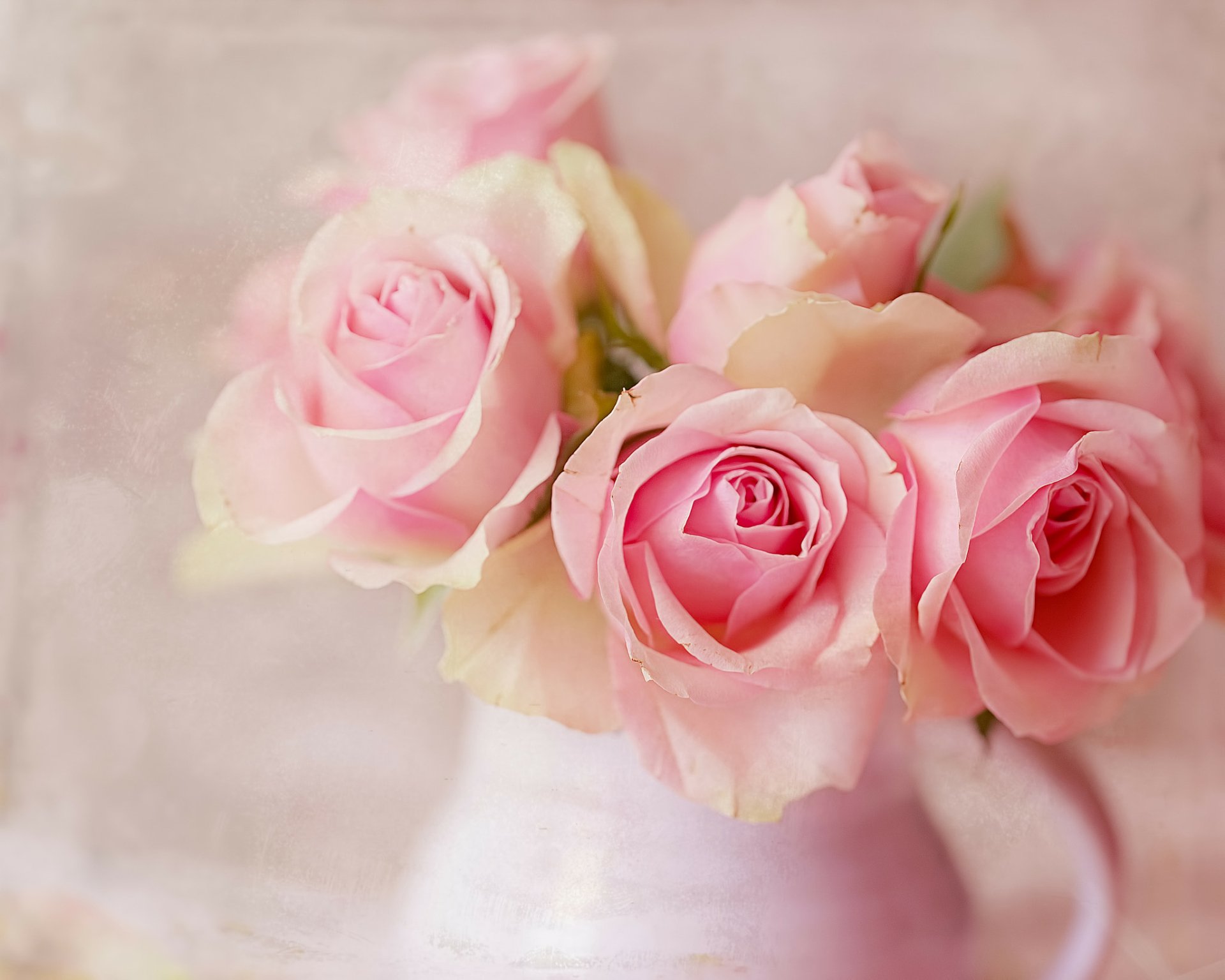 Download Pink Flower Rose Man Made Flower HD Wallpaper