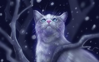 Warriors Cats Wallpaper Starclan