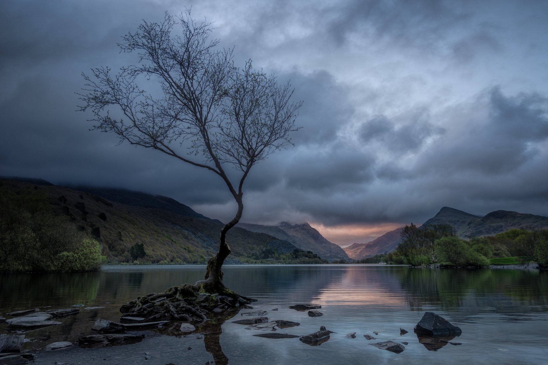 4K Ultra HD: Serene Tree Reflection Beneath Moody Clouds Over Tranquil ...