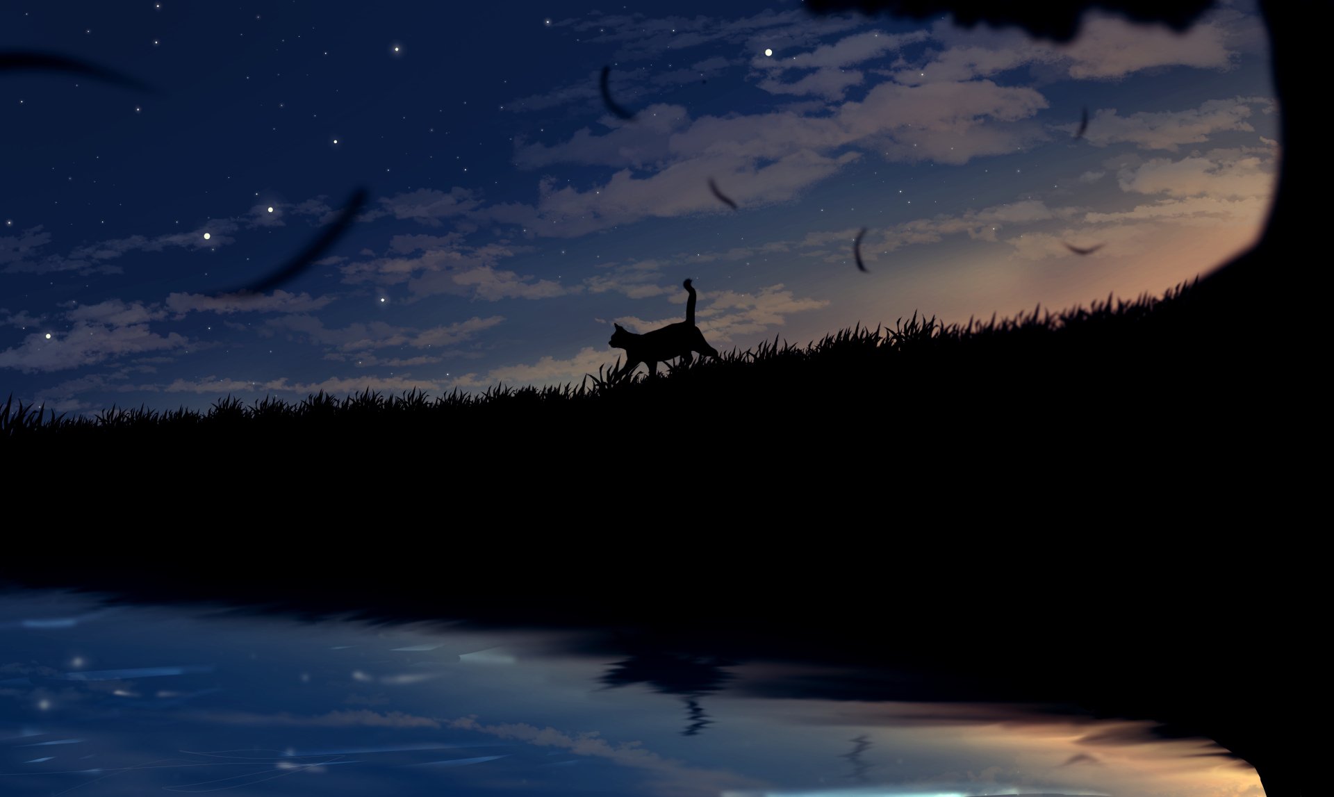 Starry Night Journey: Anime Cat Beneath the Sky – HD Wallpaper by imari ...