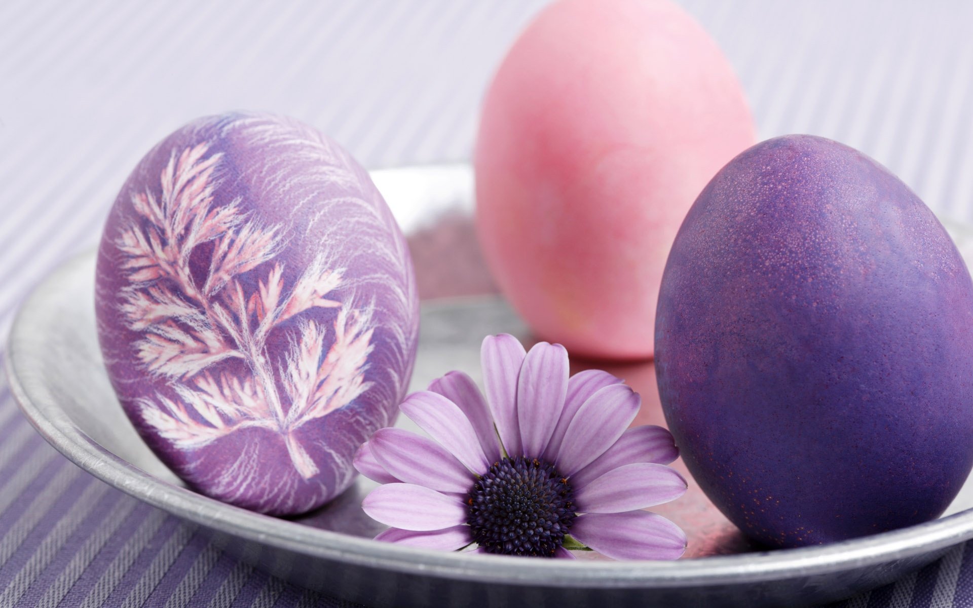 # Easter Delight: HD Wallpaper of Colorful Eggs and Blooms