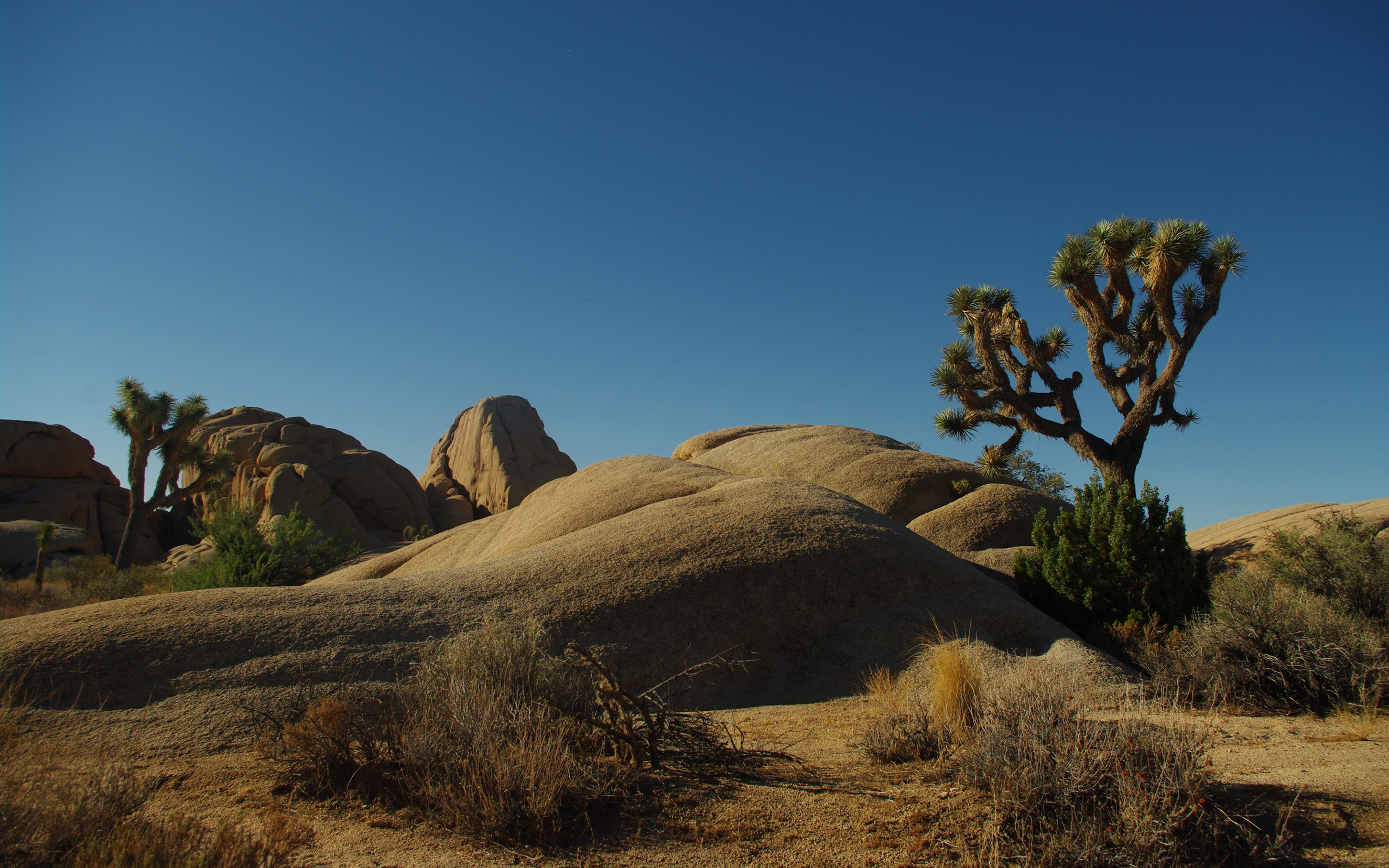 Nature Desert HD Wallpaper