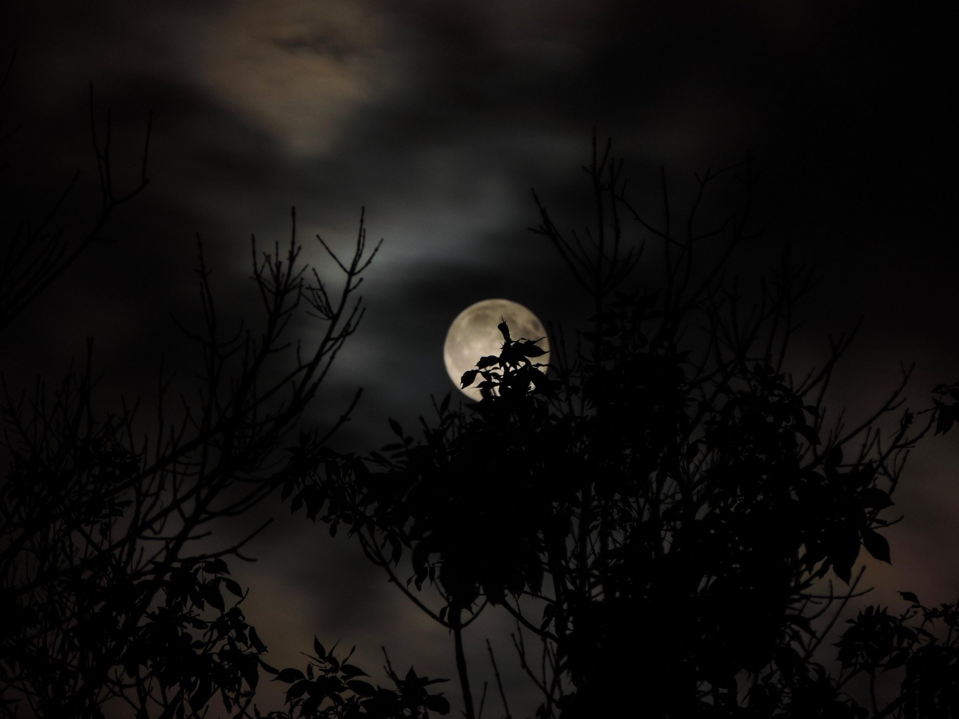 Download Nature Moon 4k Ultra HD Wallpaper | 4000x3000 | Wallpaper Abyss