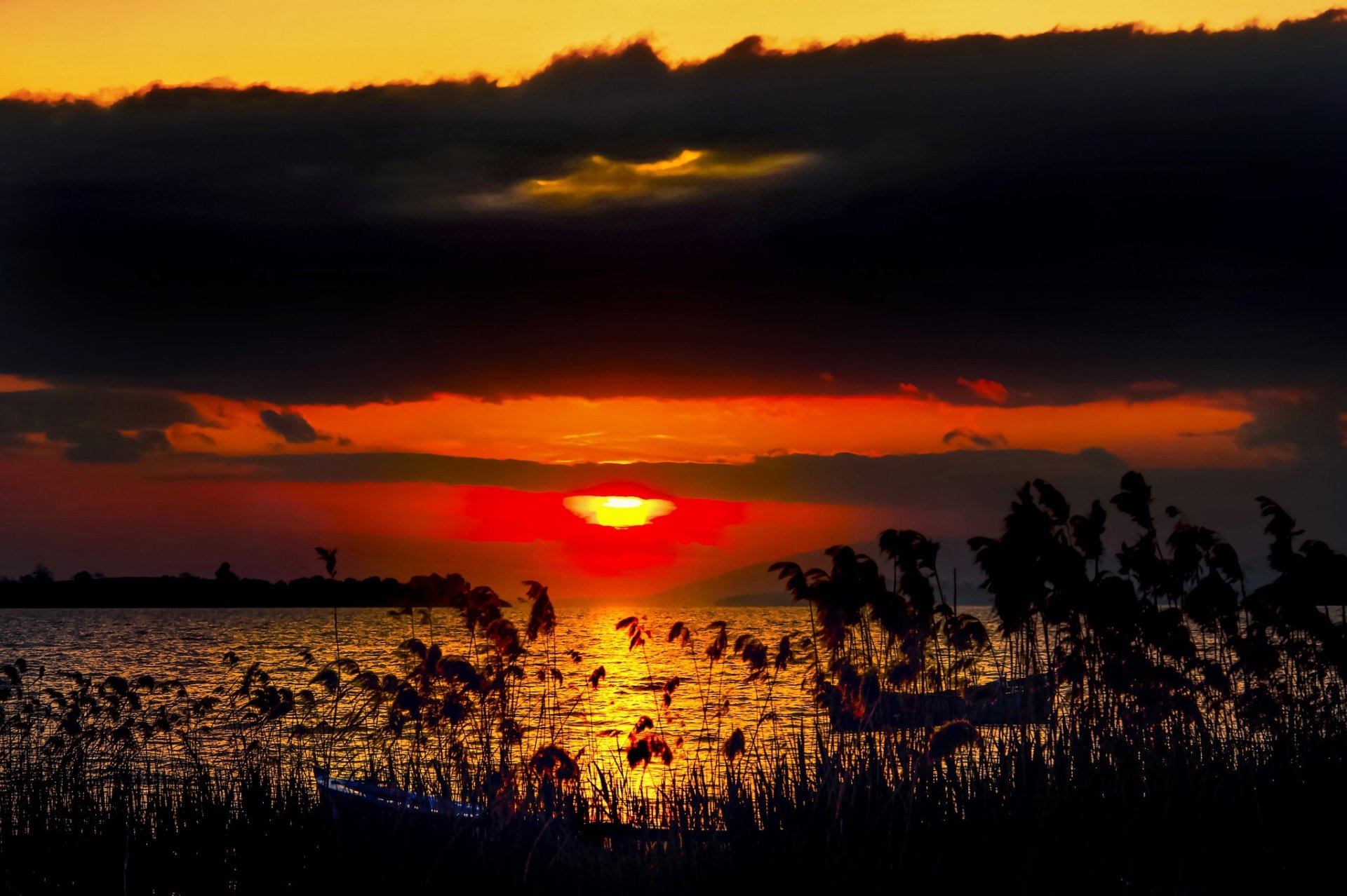 Download Plant Lake Sun Nature Sunset HD Wallpaper