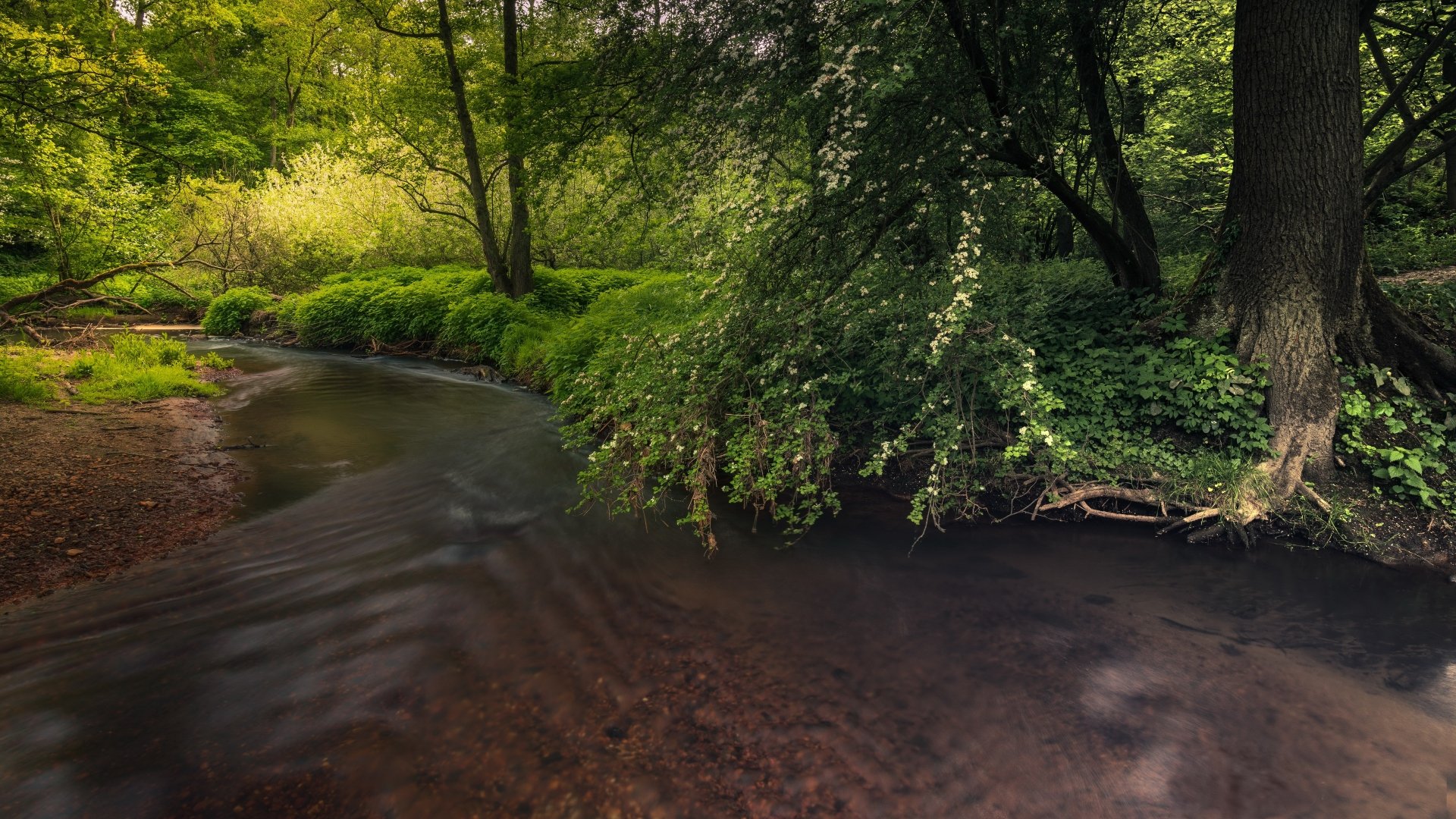 Download Nature River 4k Ultra HD Wallpaper | 3840x2160 | Wallpaper Abyss