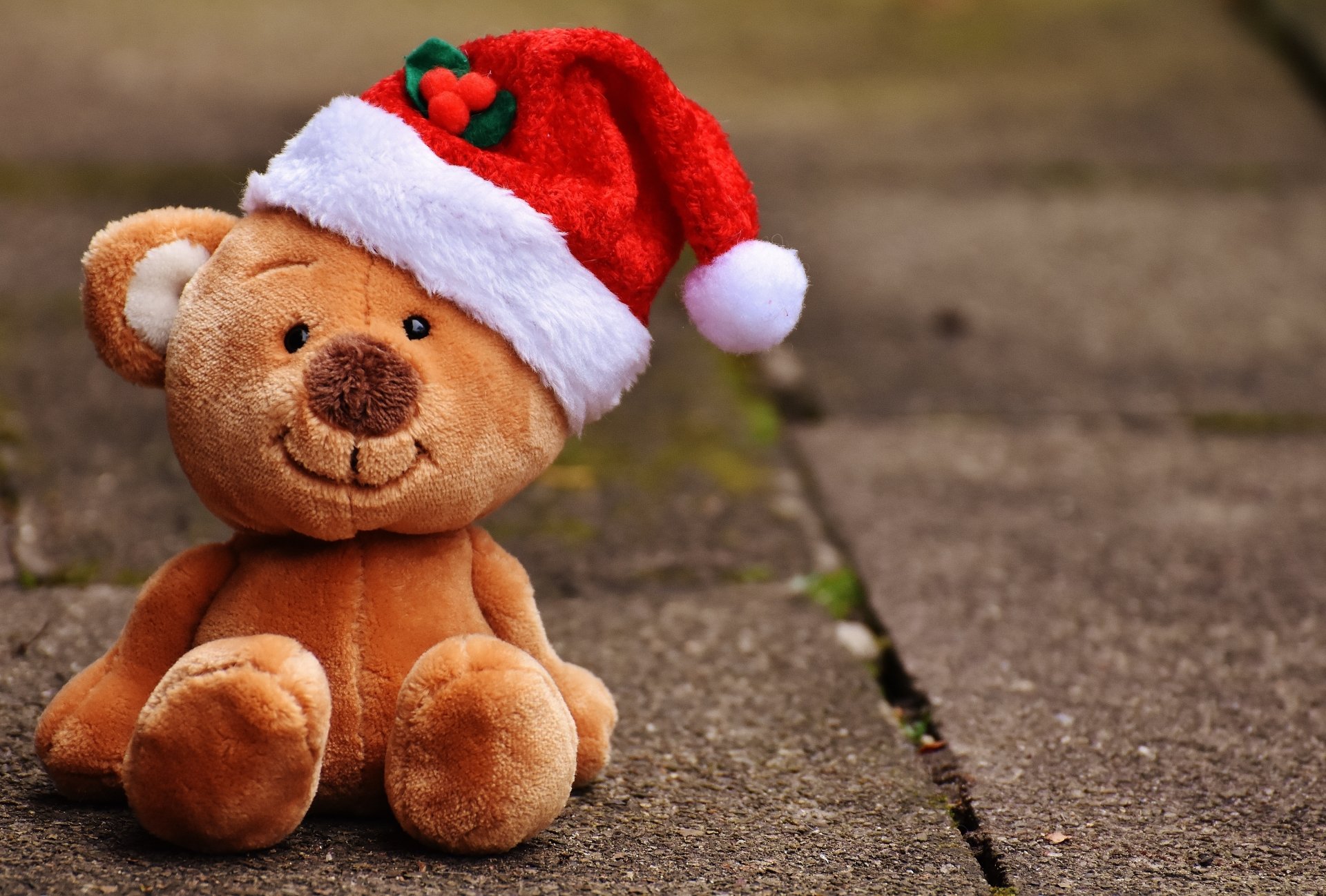 Download Santa Hat Teddy Bear Man Made Stuffed Animal 4k Ultra HD Wallpaper