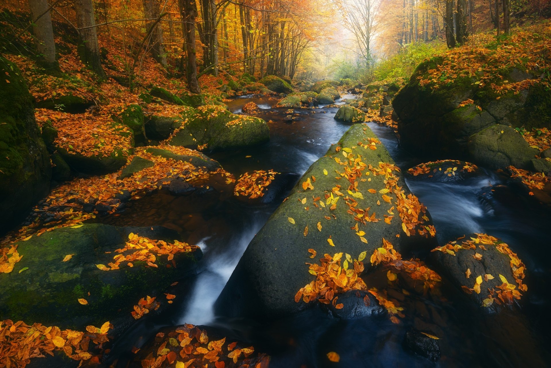 Download Fall Nature Stream HD Wallpaper