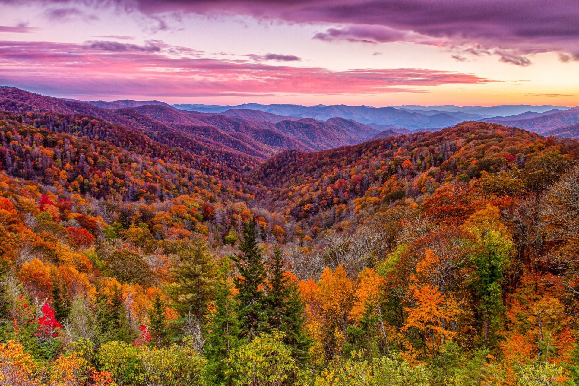 Crimson Ridge: HD Fall Mountain Forest Wallpaper | 2048x1365 ...