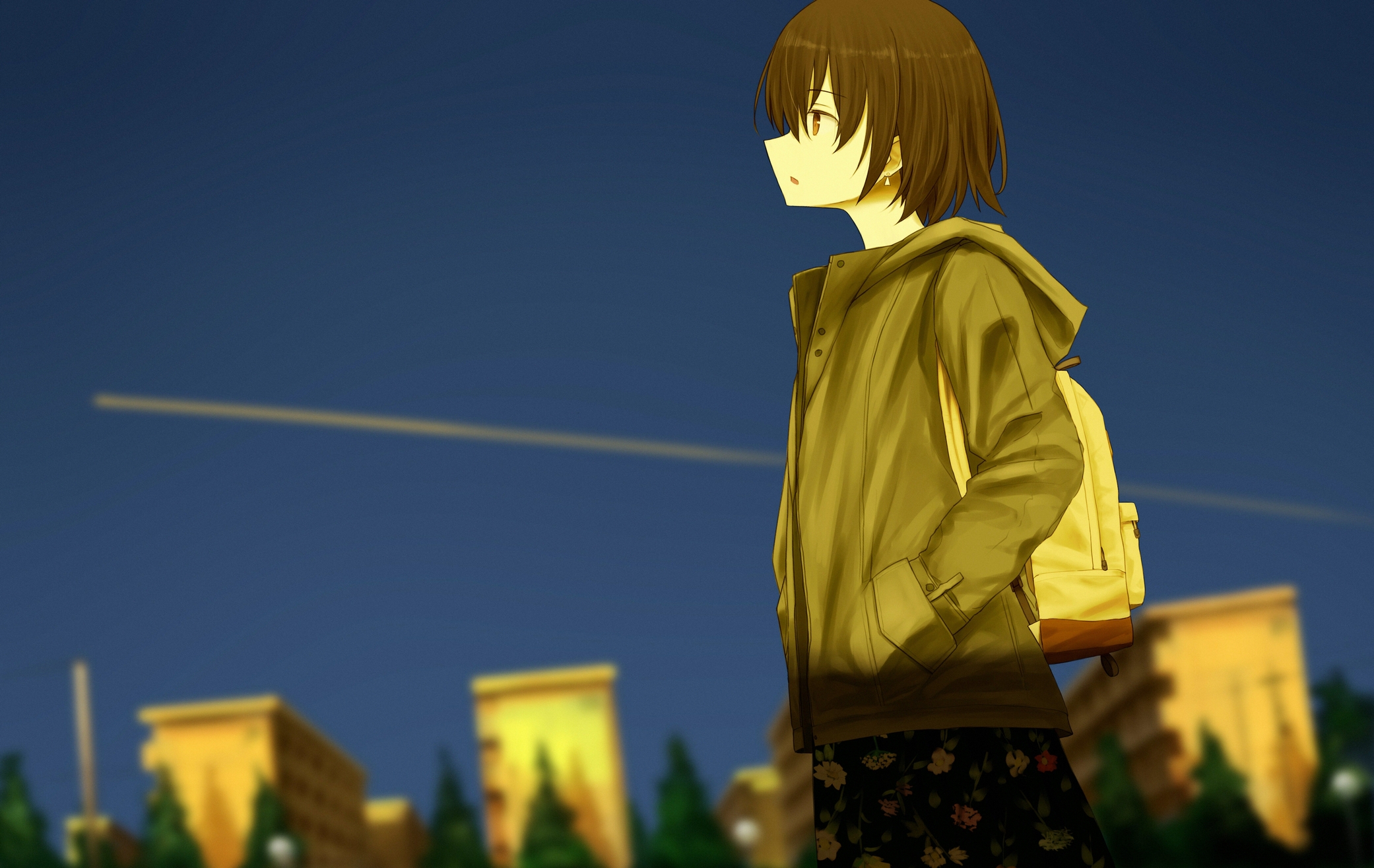 Enchanting Aurora Borealis HD Wallpaper by QuantumCurator