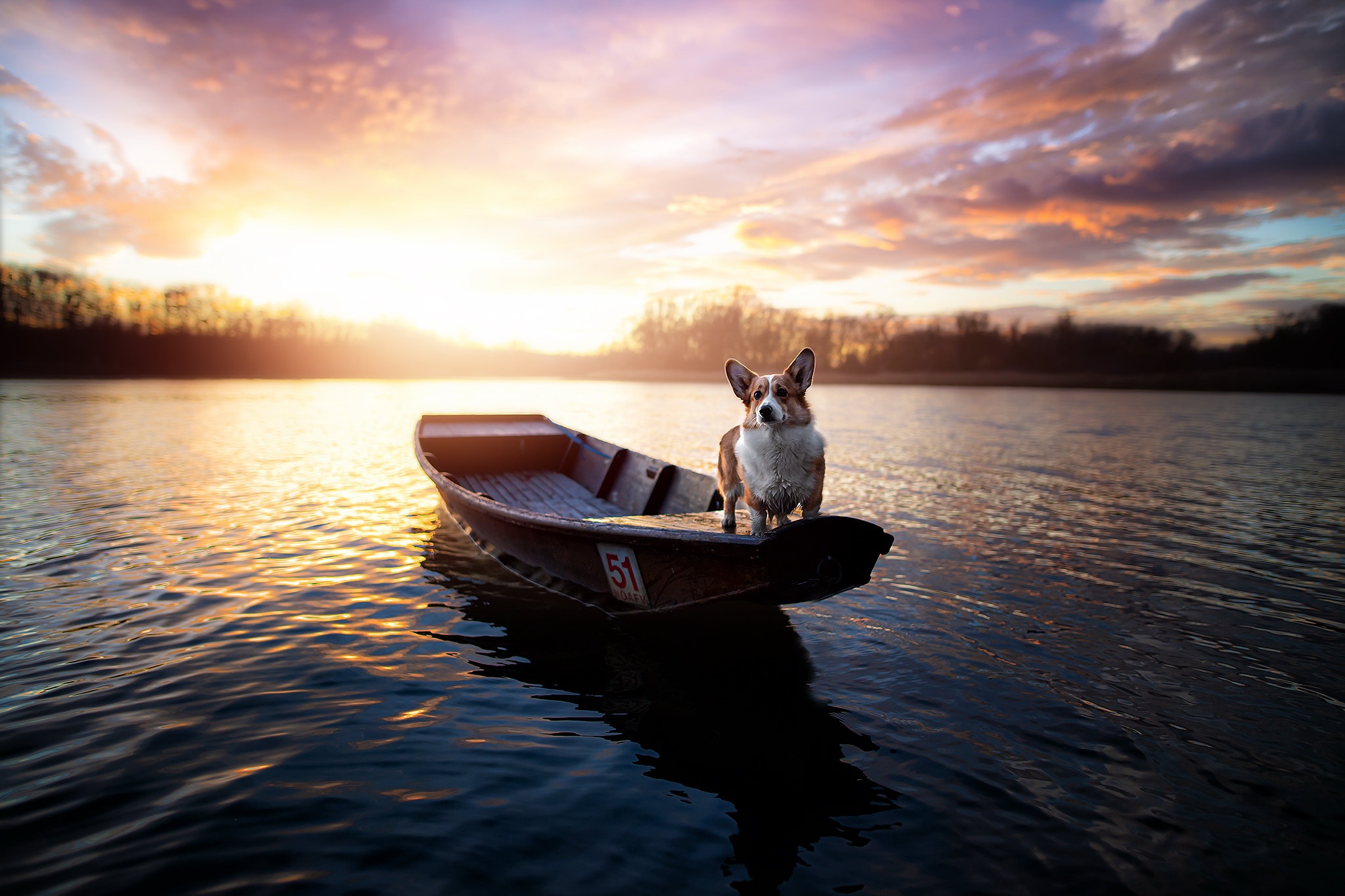 Download Dog Boat Lake Sunset Animal Corgi HD Wallpaper