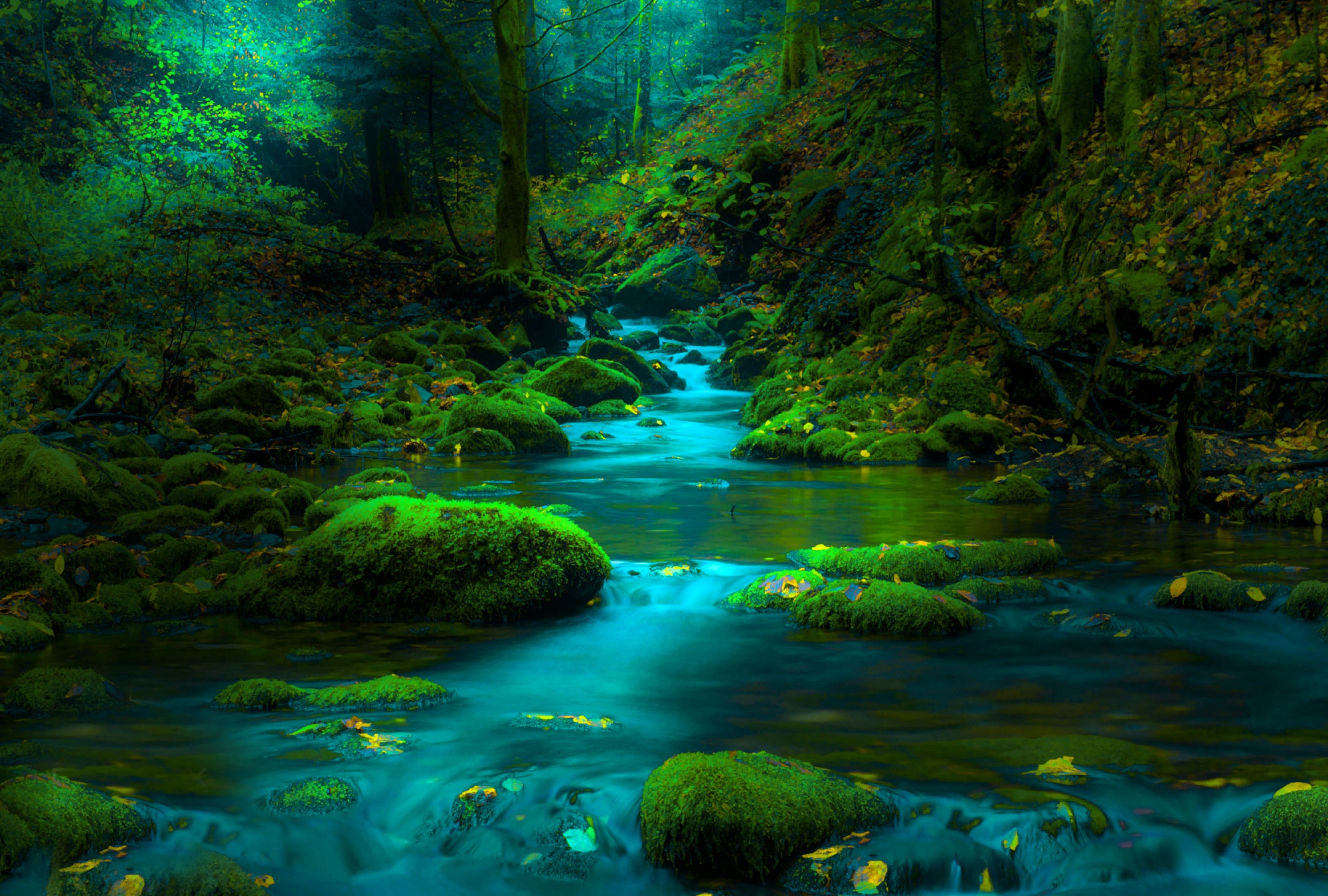 Download Stone Greenery Moss Nature Stream HD Wallpaper by Mevludin ...