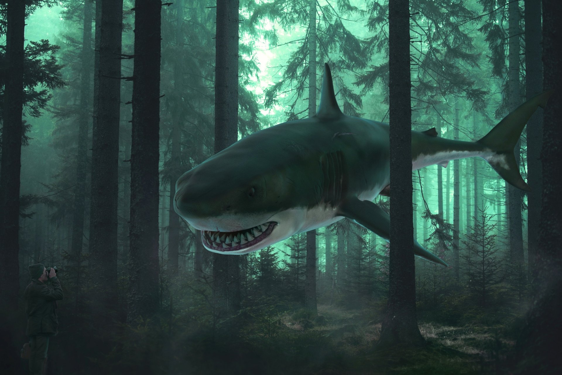 Download Shark Fantasy Forest 4k Ultra HD Wallpaper