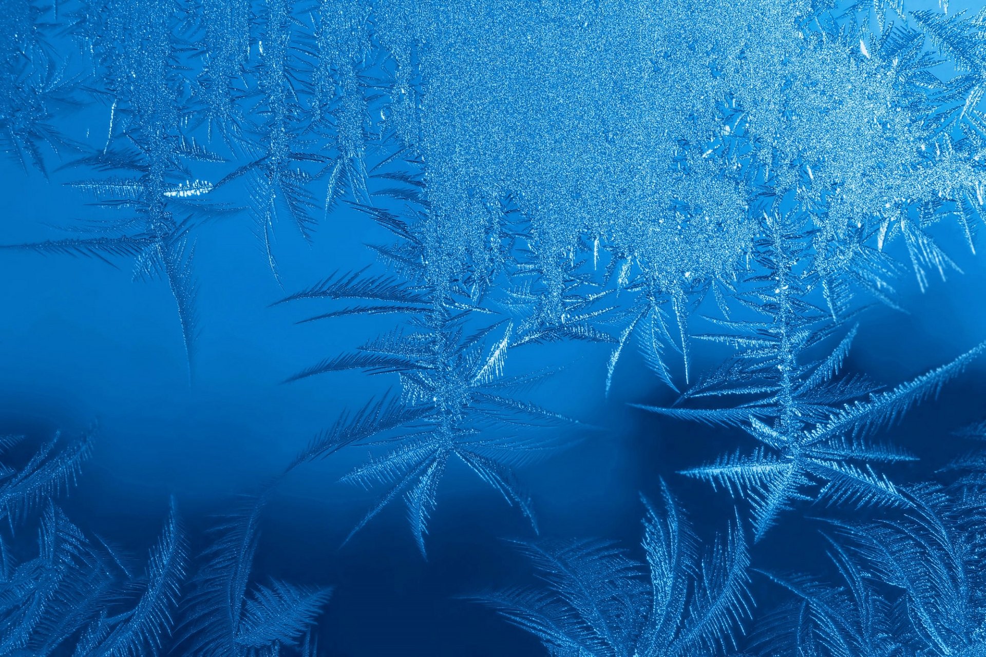 Nature Frost HD Wallpaper