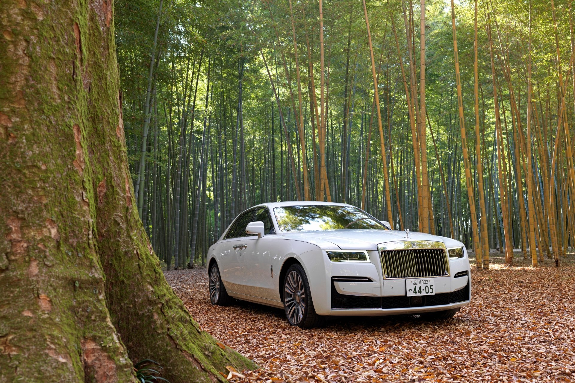 Download Bamboo White Car Car Rolls-Royce Vehicle Rolls-Royce Ghost 4k ...