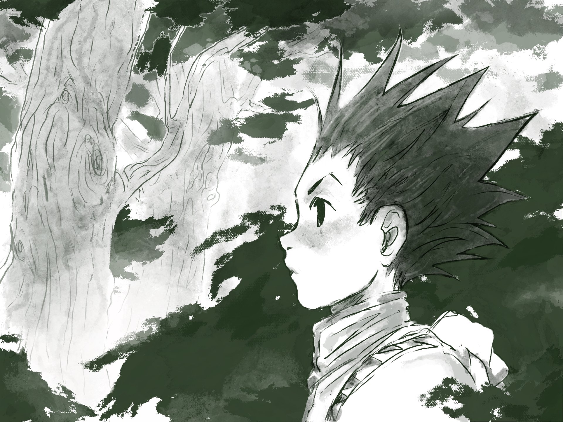 Gon Freecss: HD Hunter x Hunter Anime Wallpaper by rico