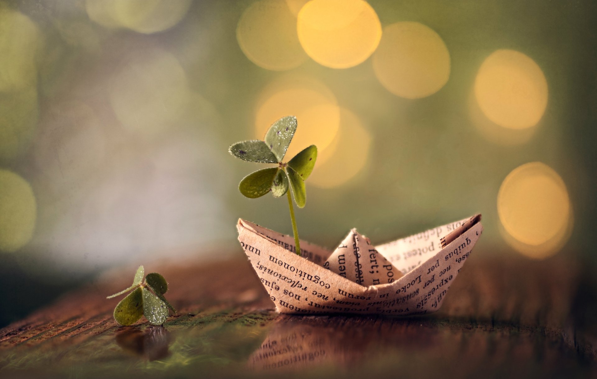 Download Paper Boat Bokeh Clover Macro Man Made Origami 4k Ultra HD ...