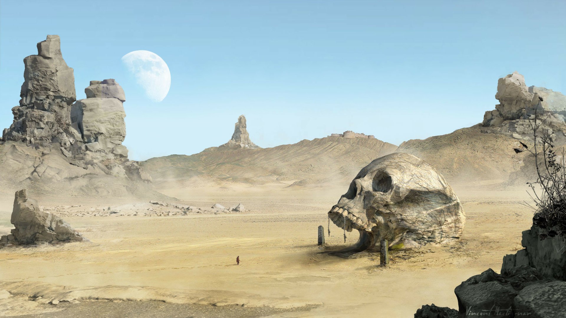 Desolate Dawn: Dark Skull in HD Desert Silence by Vincent MacTiernan