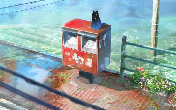 858 Anime Cat HD Wallpapers | Background Images - Wallpaper Abyss