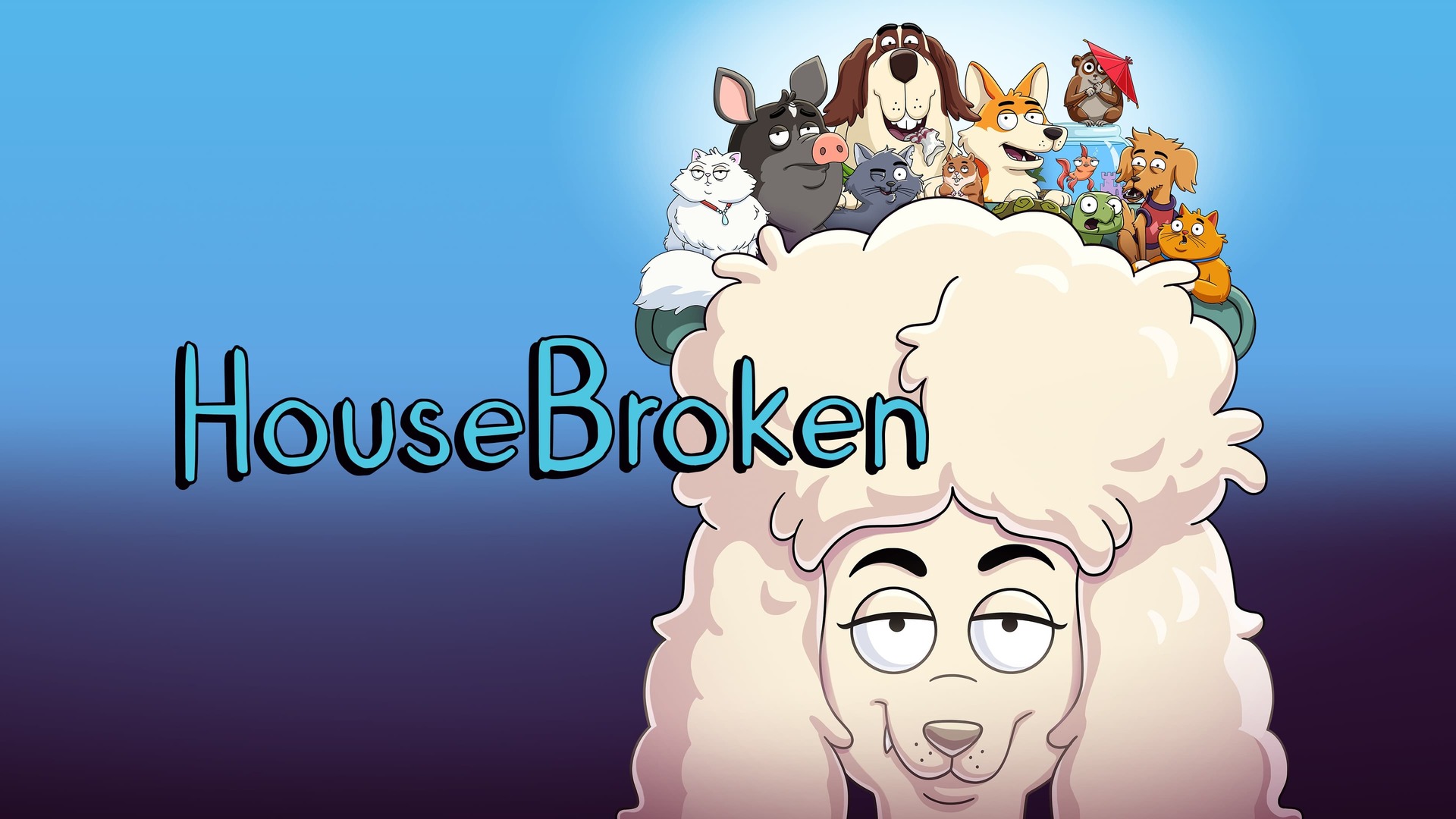 Housebroken HD Wallpaper | Background Image | 1920x1080