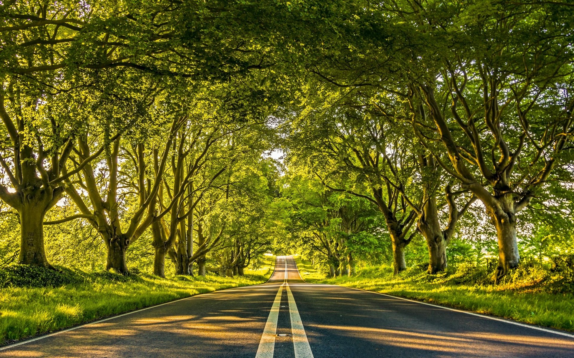 Download Man Made Road HD Wallpaper | 2560x1600 | Wallpaper Abyss