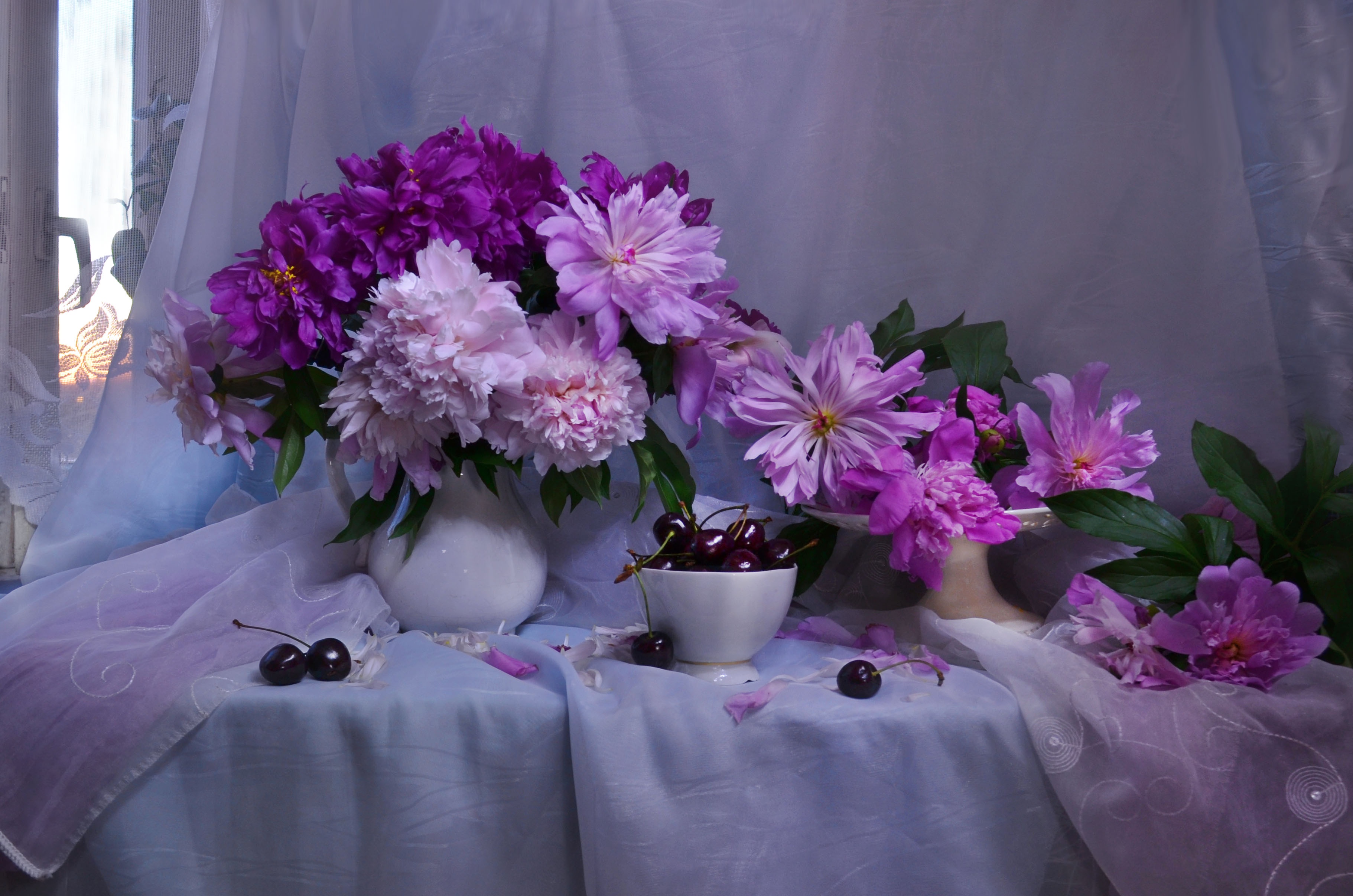 Download Photography Still Life HD Wallpaper