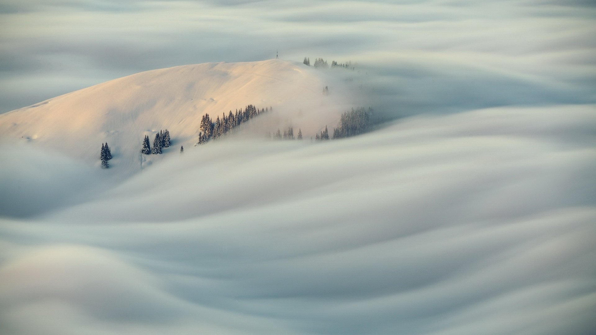 Download Nature Fog HD Wallpaper