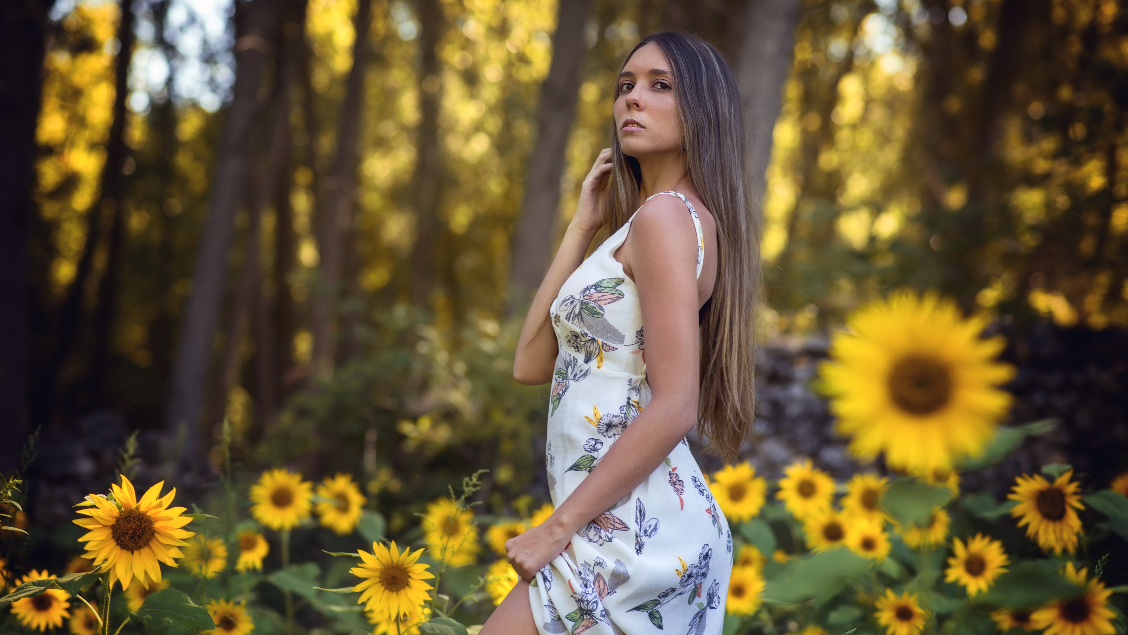 Download Dress Brunette Woman Model 4k Ultra HD Wallpaper