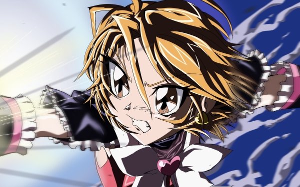 Futari Wa Pretty Cure - Desktop Wallpapers, Phone Wallpaper, PFP, Gifs ...