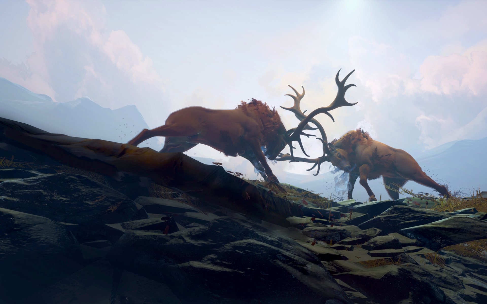 Download Fight Horns Deer Stag Animal Artistic HD Wallpaper by Tyler Smith