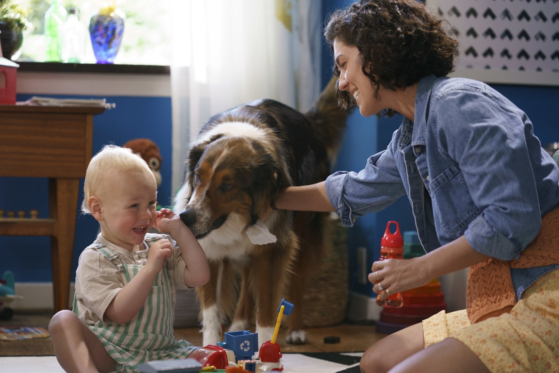 Download Movie Rescued By Ruby 4k Ultra HD Wallpaper