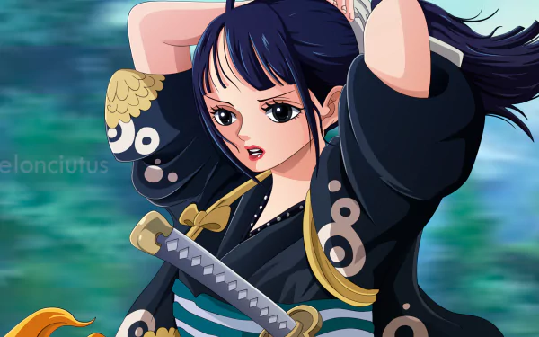 Download Kikunojo (One Piece) Kiku (One Piece) Okiku Anime One Piece HD ...