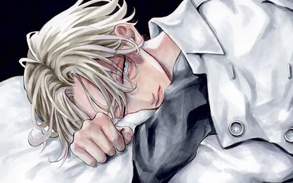 [10+] Seishu Inui Wallpapers