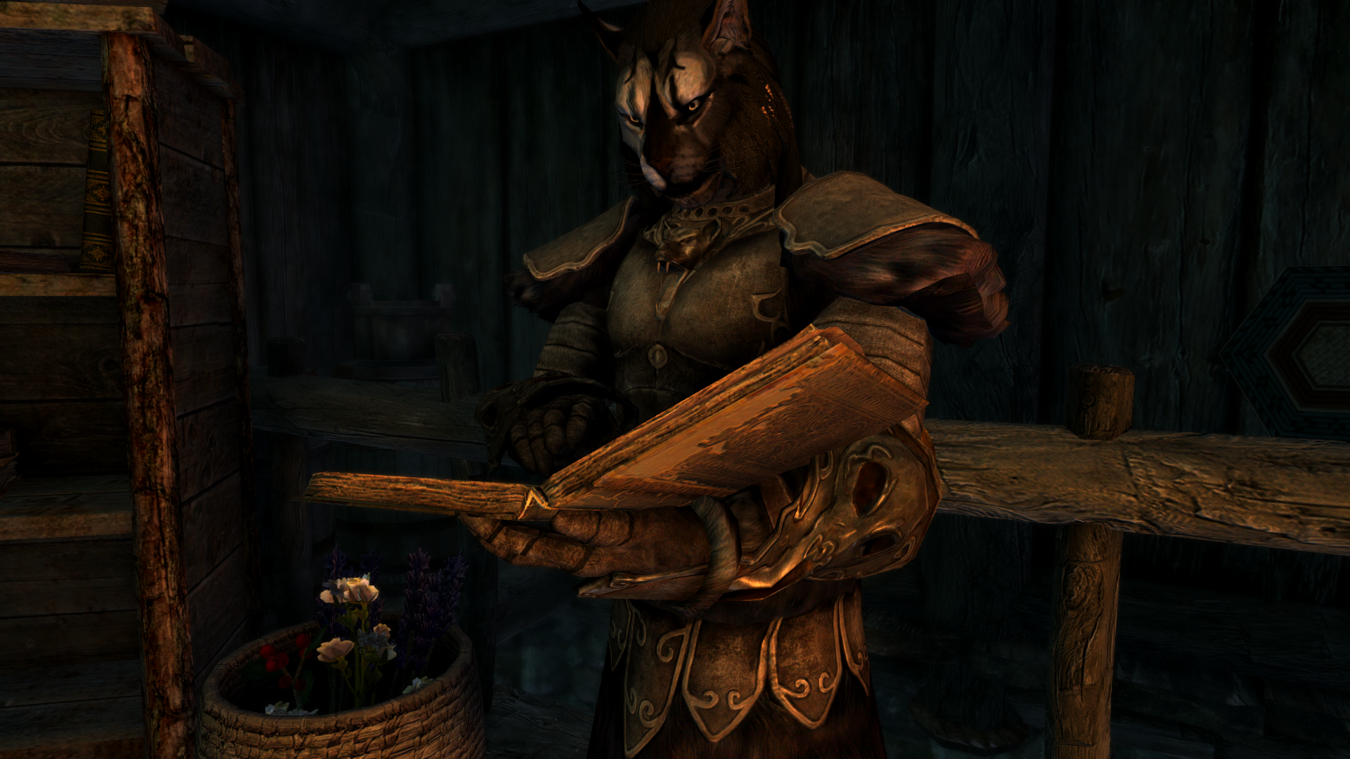 Khajiit Reading a Book in Skyrim's Farm by Michael Moraes